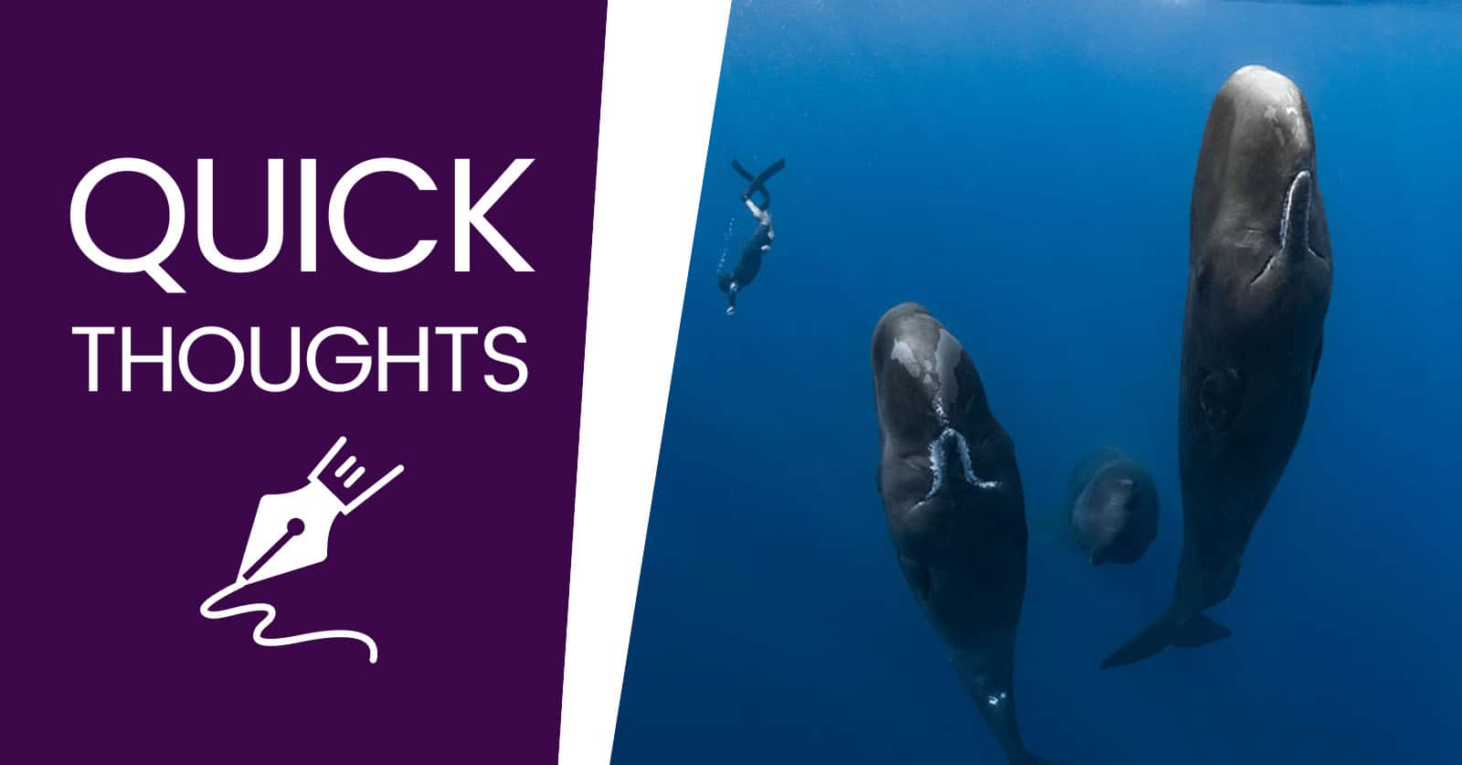 Patrick and the Whale - TIFF Film Review - Seventh Row